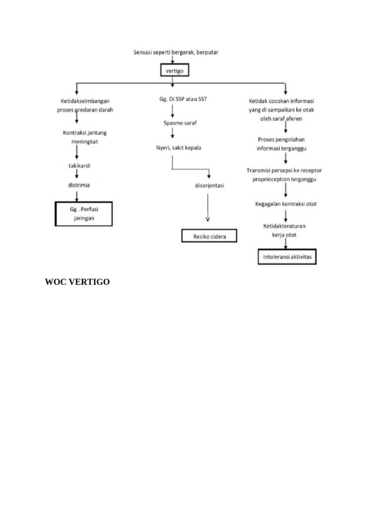 WOC VERTIGO MIRZA | PDF