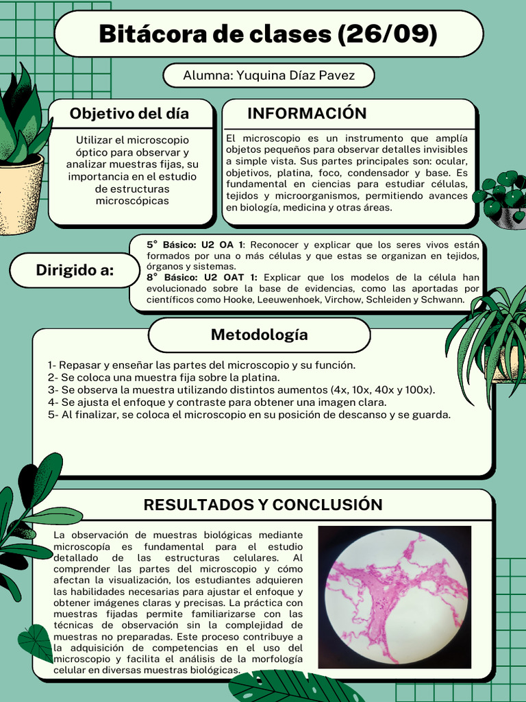 Bitacora de Clases Microscopio | PDF | Biología Celular) | Plantas