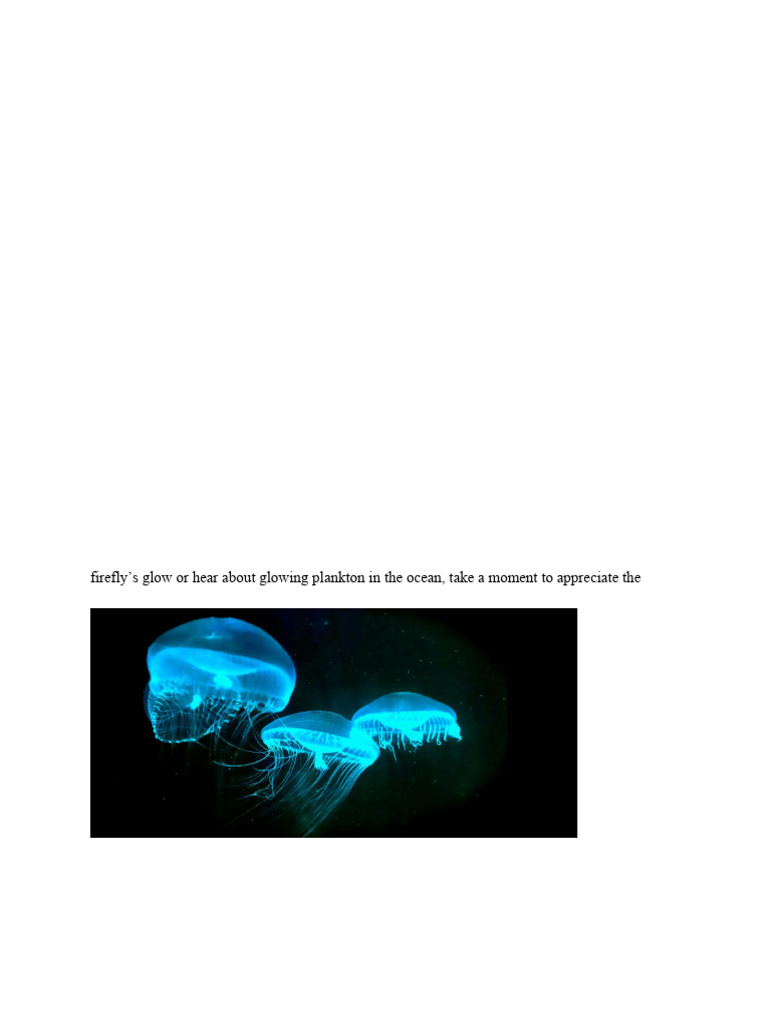 Bioluminescence: Nature's Glow | PDF