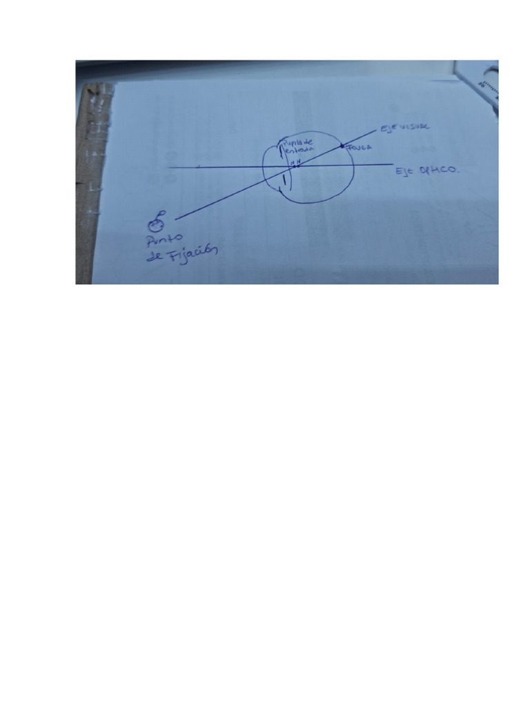 eje visual | PDF