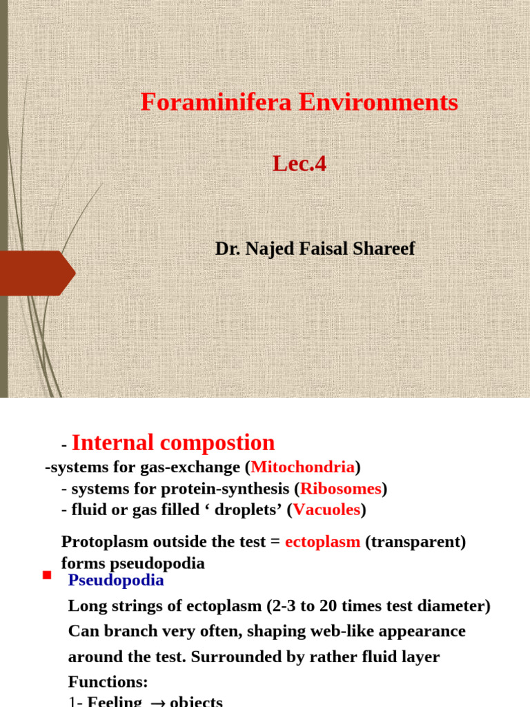 LEC-4 | PDF | Water | Transparent Materials