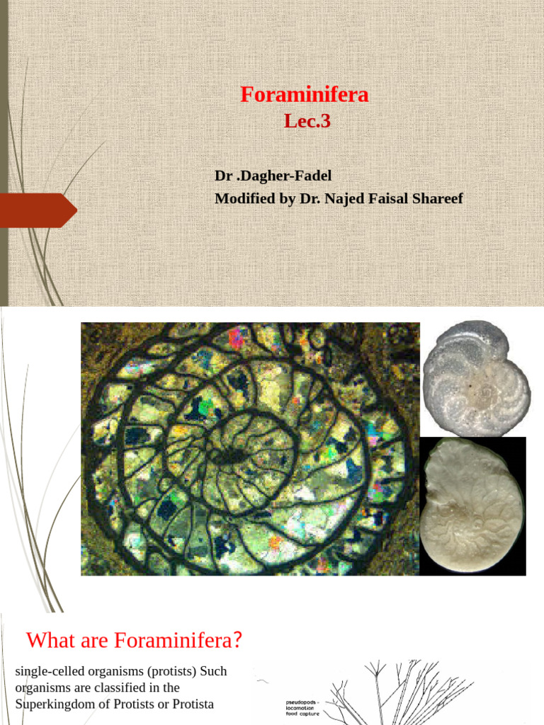 LEC-3 | PDF | Earth Sciences