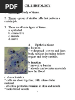 Chapter 4 Tissues Power Point | PDF | Tissue (Biology) | Epithelium