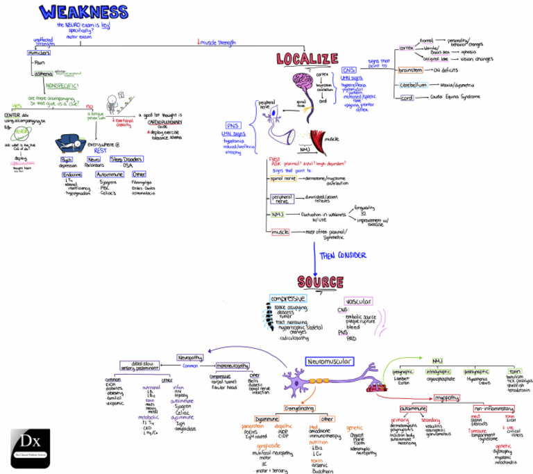 Weakness Thought Train | PDF