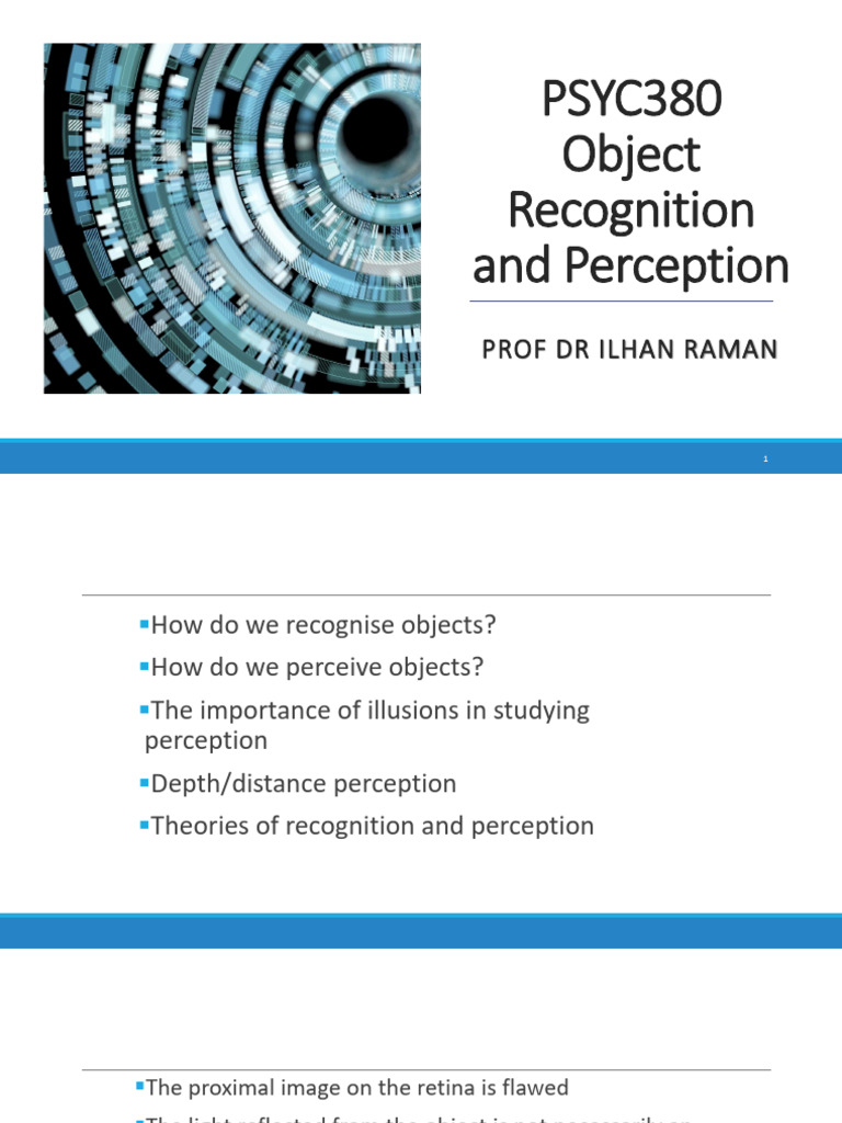 PSYC380 Object Recognition and Perception 2024 | PDF | Perception ...