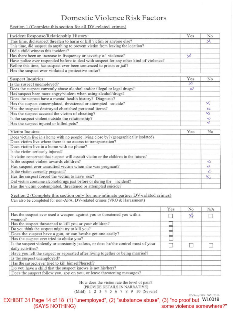 Domestic Violence Risk Factors | PDF