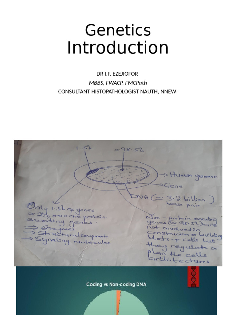 Genetics Introduction-2 | PDF | Dna | Histone