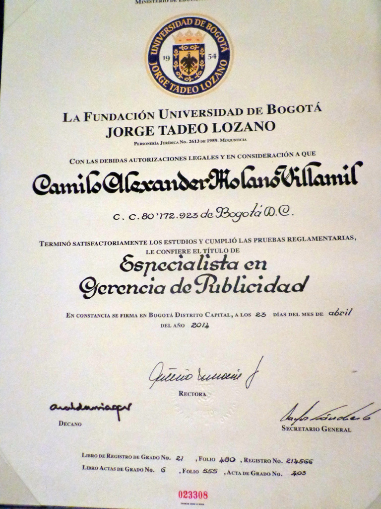 Diploma Especializacion | PDF