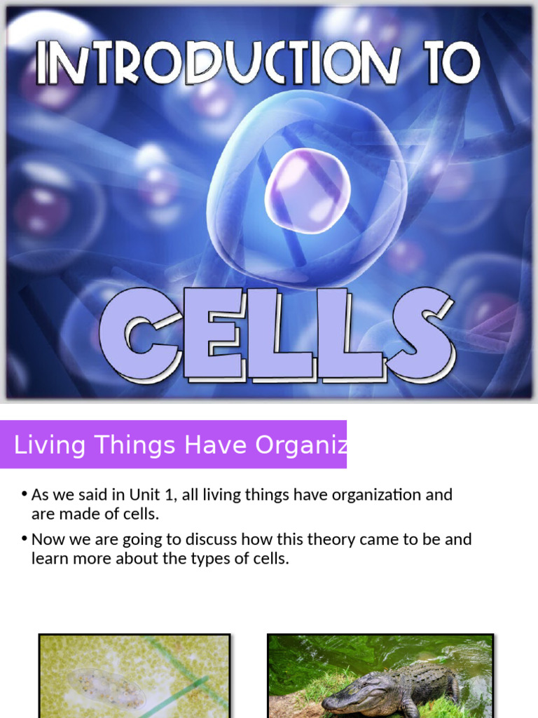 Intro To Cells Lesson | PDF | Cell (Biology) | Organelle