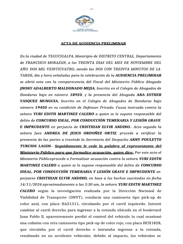 Audiencia-Preliminar Grupo 3 | PDF