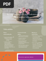 PDAI - Aula 2 - Baltes | PDF | Psicologia | Envelhecimento