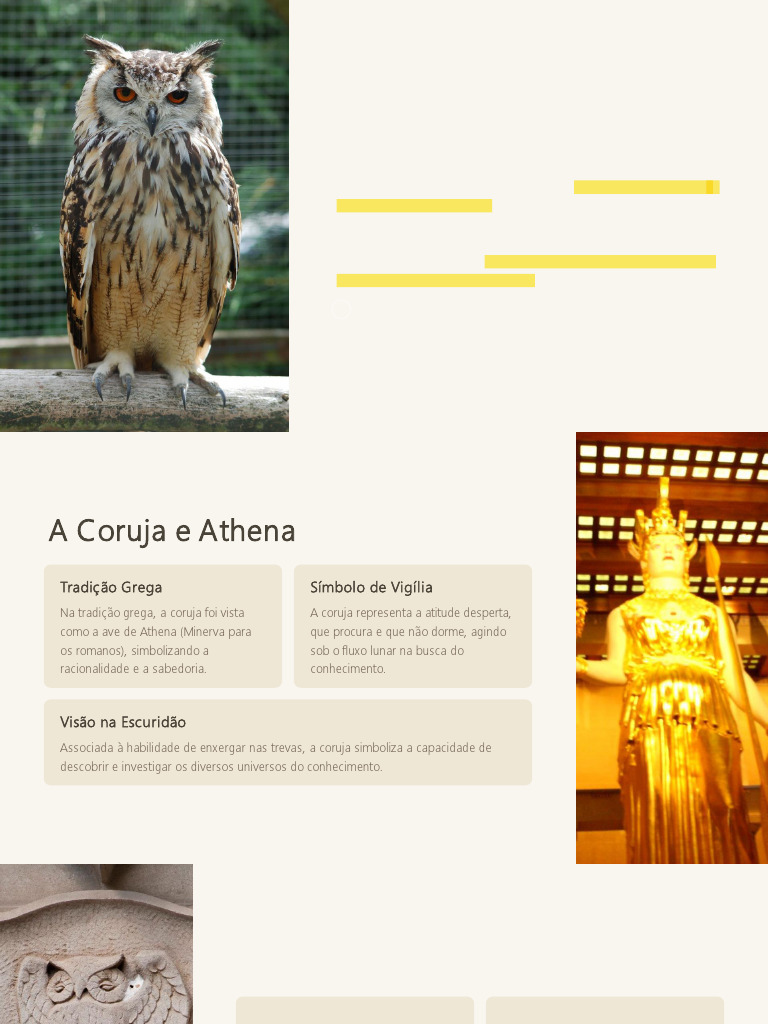 A-Sabedoria-e-a-Coruja | PDF | Sabedoria | Conhecimento