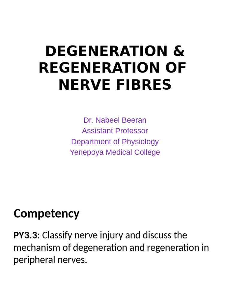 Nerve Injury: Degeneration & Regeneration | PDF | Axon | Nerve