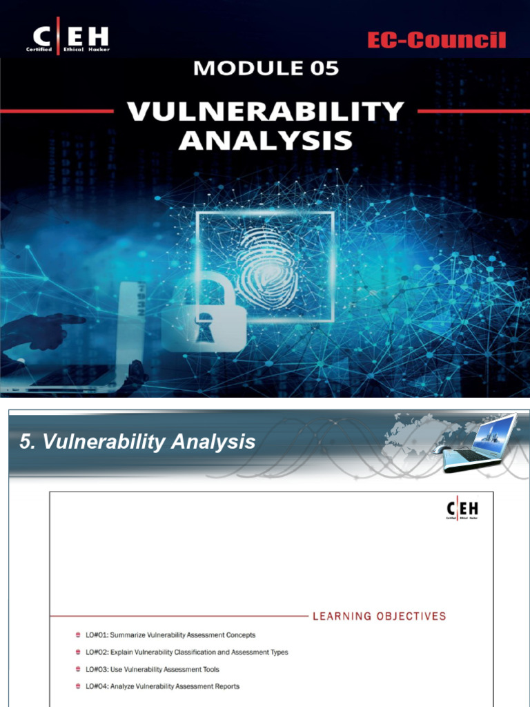 Comprehensive Vulnerability Analysis | PDF