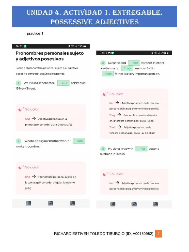 Possessive Adjectives Practice Guide | PDF