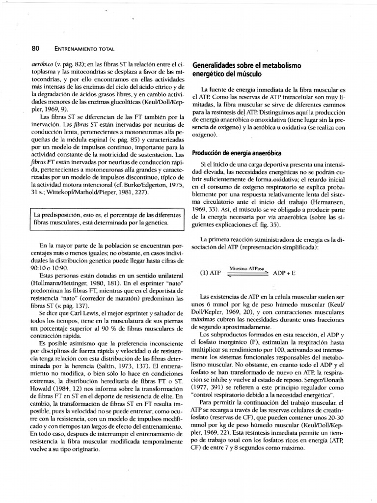Ent 2 | PDF