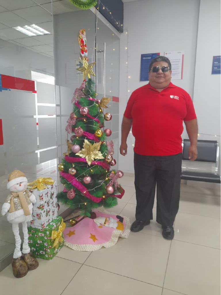 Enrique Jordan Laos Jaramillo | PDF