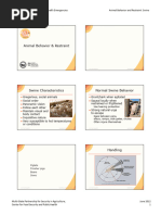 Normal Vital Signs for Common Animals | PDF | Dairy Cattle | Cattle