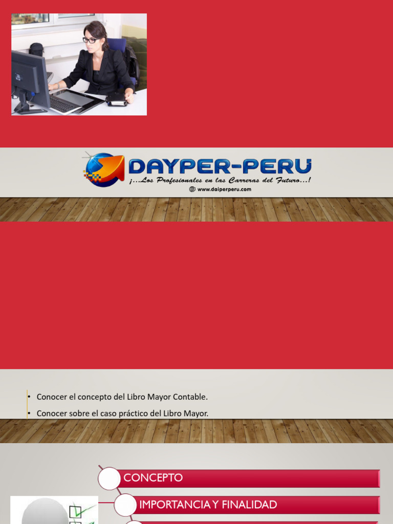 Libro Mayor: Concepto y Uso Contable | PDF