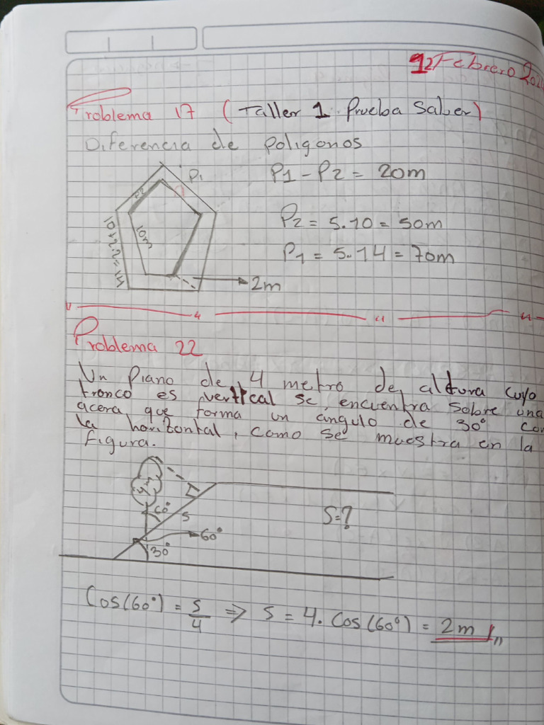 Problemas Tipo Icfes | PDF