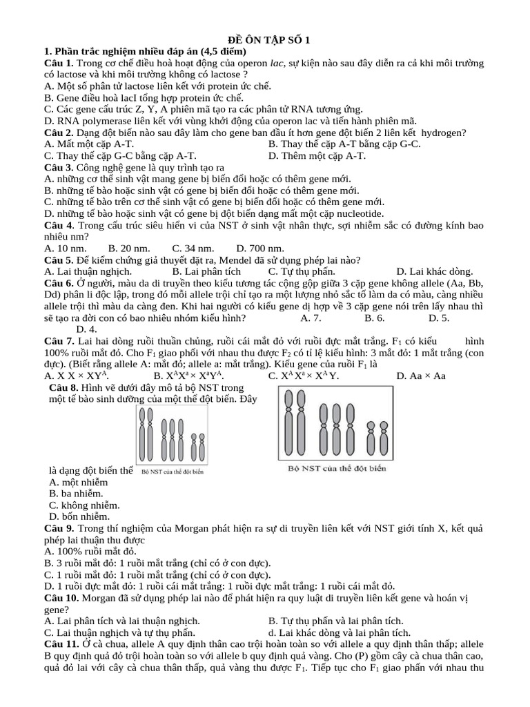 ĐỀ-CƯƠNG-ÔN-TẬP-HK-1 sinh 12 | PDF