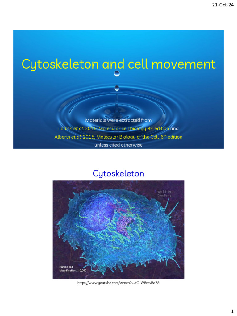TDL185 CellBio 8-10 Cytoskeleton | PDF | Actin | Microtubule