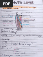 Textbook of Anatomy Upper Limb and Thorax by Vishram Singh | PDF | Arm ...