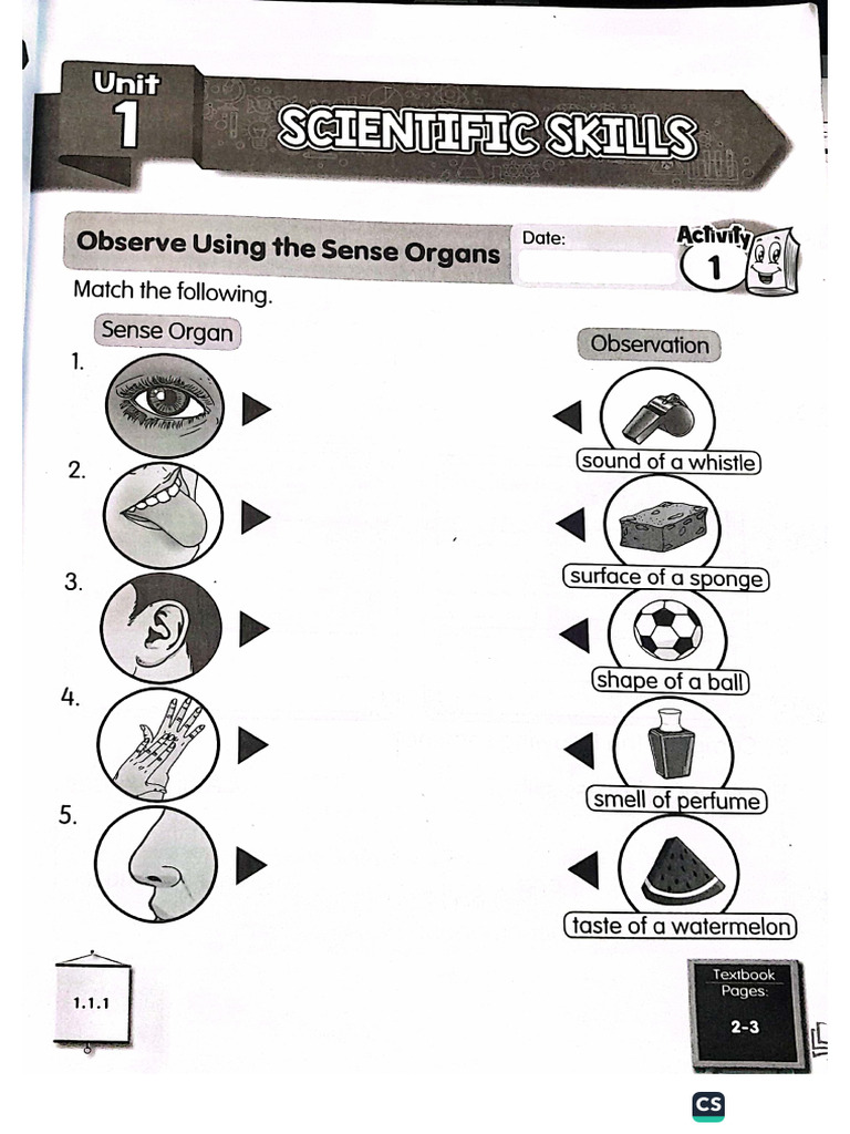 Year 3 Activity Book Part 1 | PDF
