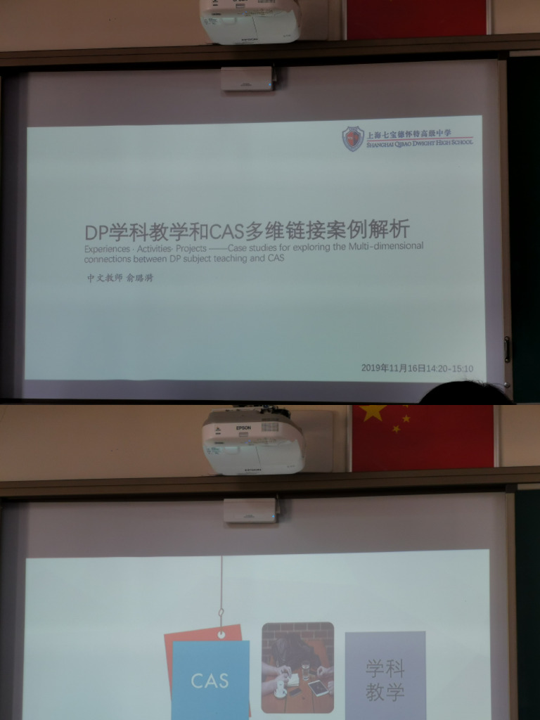 DP学科教学和CAS多维链接案例解析 | PDF
