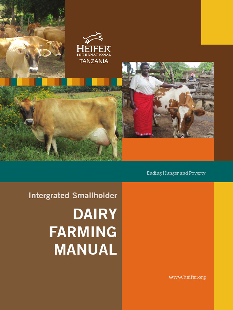 Dairy Farming Guide for Tanzania | PDF | Dairy Cattle | Cattle