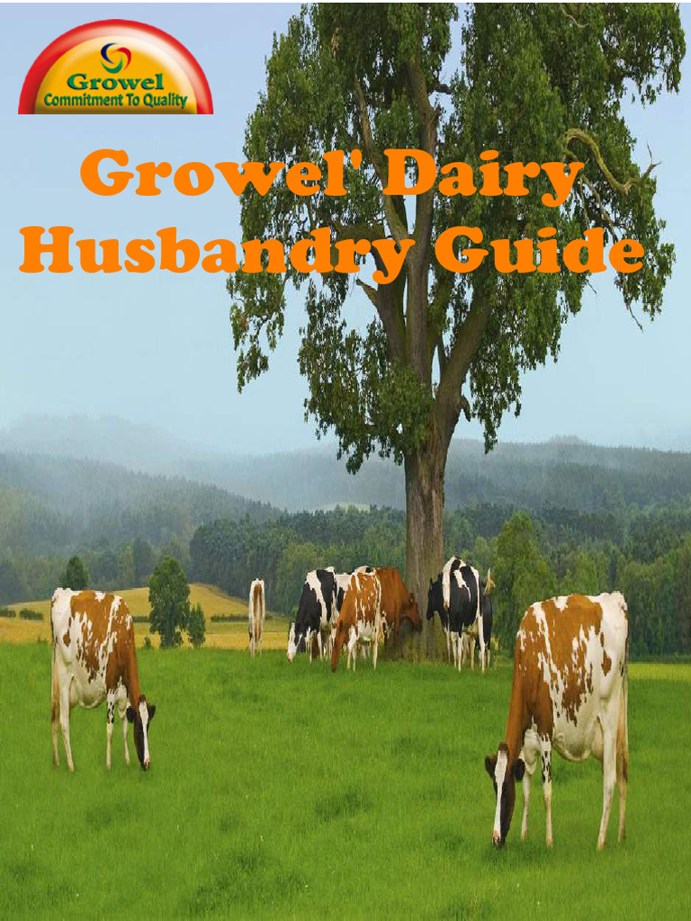 Dairy Husbandry Guide for Farmers | PDF | Dairy Cattle | Cattle