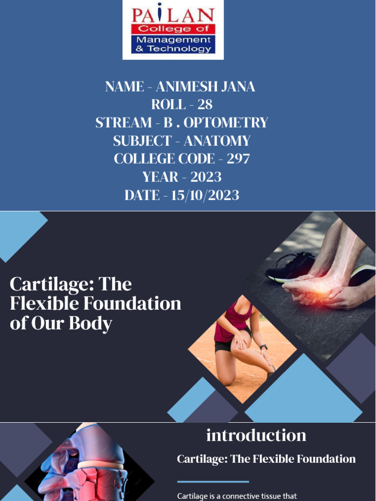 Understanding Cartilage Anatomy and Function | PDF | Cartilage ...