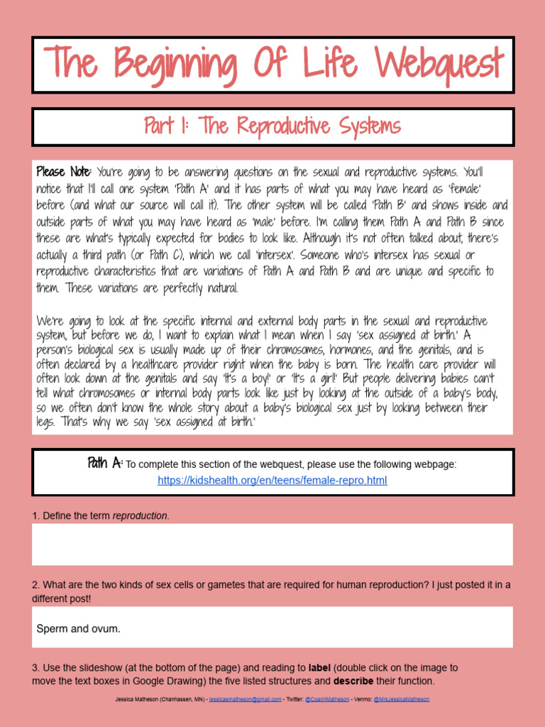Teen Reproductive Health Guide | PDF | Human Reproduction | Menstrual Cycle