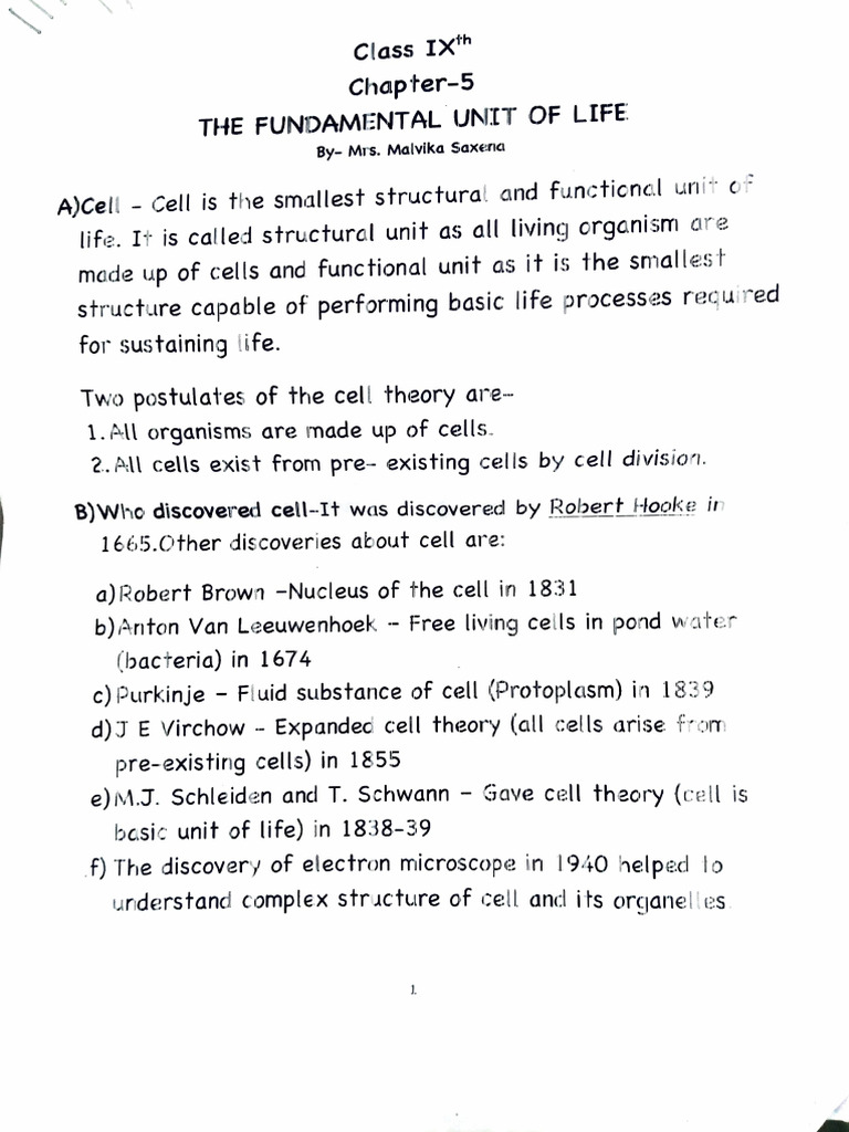 Class 9 Biology: Cell Basics | PDF | Endoplasmic Reticulum | Meiosis