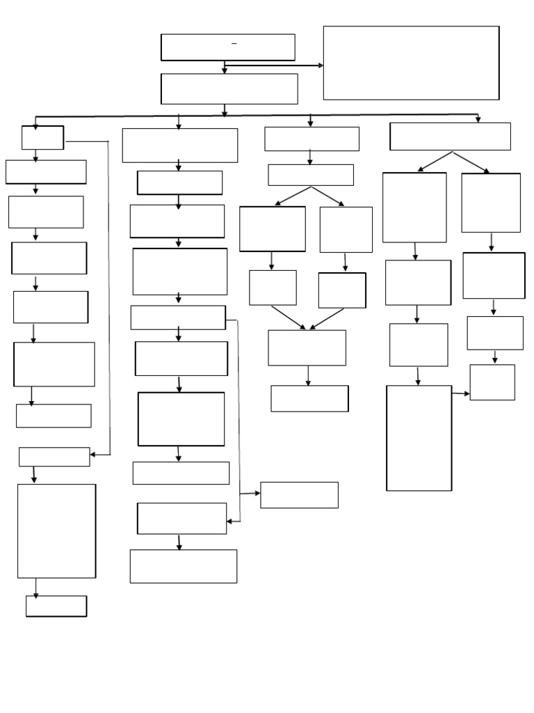 Woc Intranatal Care | PDF