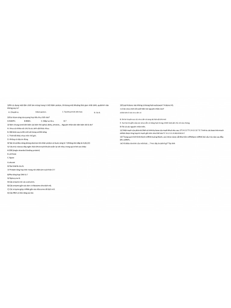 Cam Scanner Pdf