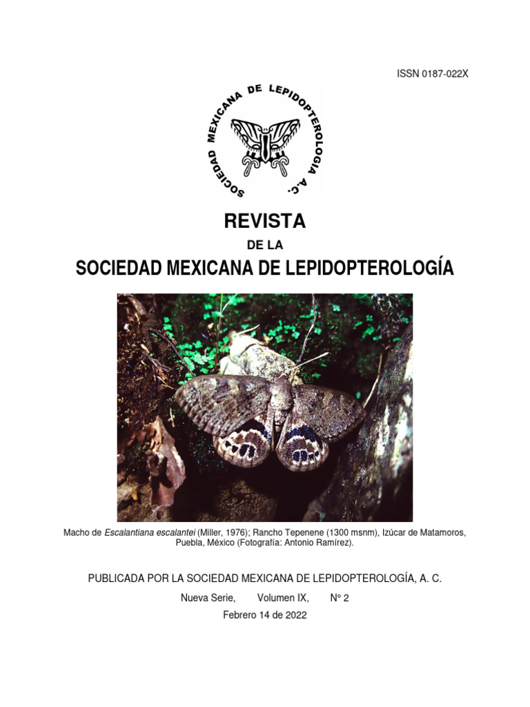 Rev Soc Mex Lep Vol 9 N 2 Doxocopa Laure | PDF | México | Color