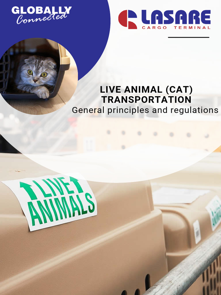 Live Animal (Cat) Instruction | PDF | Customs