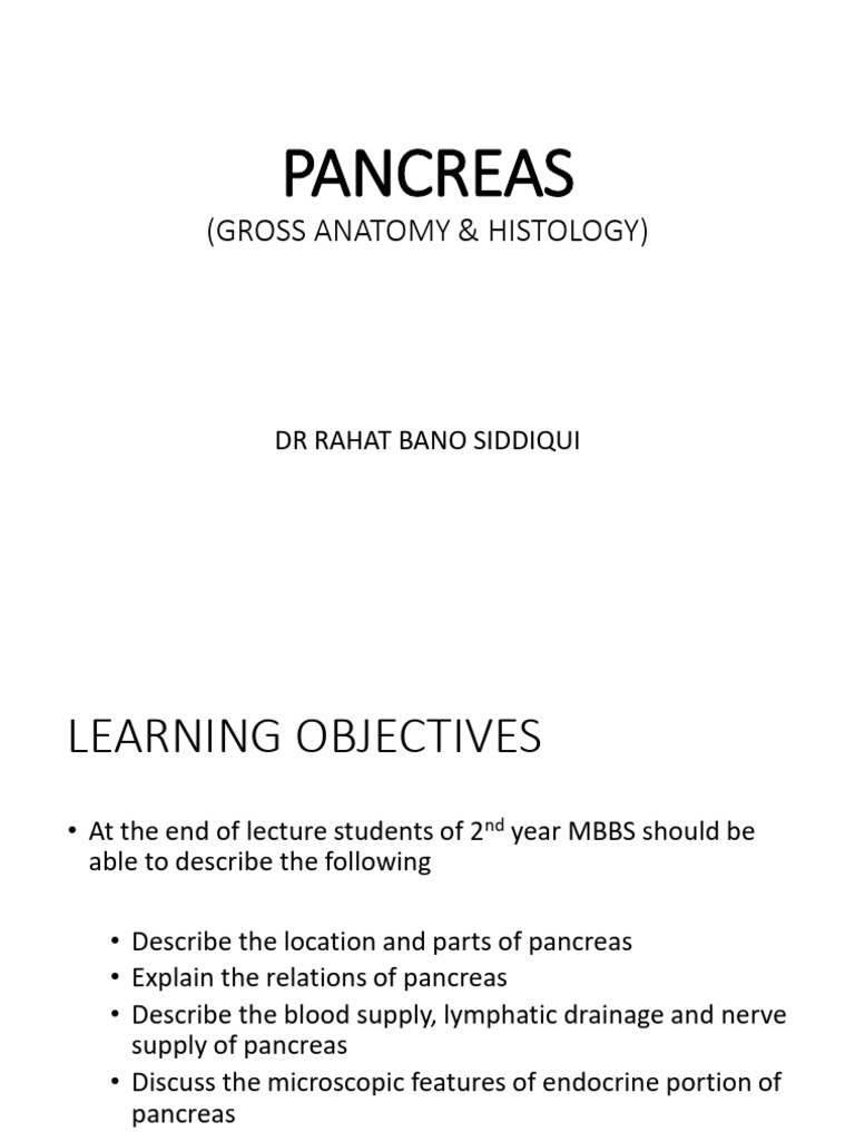 Pancreas (Gross Histology) | PDF | Pancreas | Endocrine System
