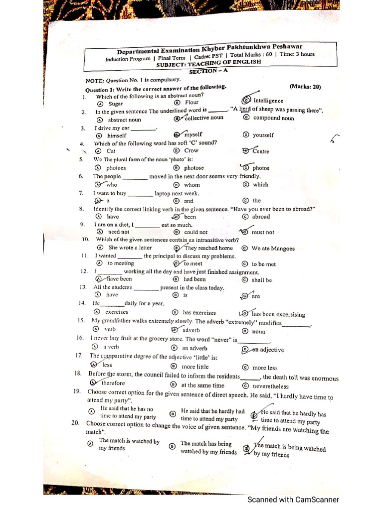 Paper - English - PST 2020-21 | PDF
