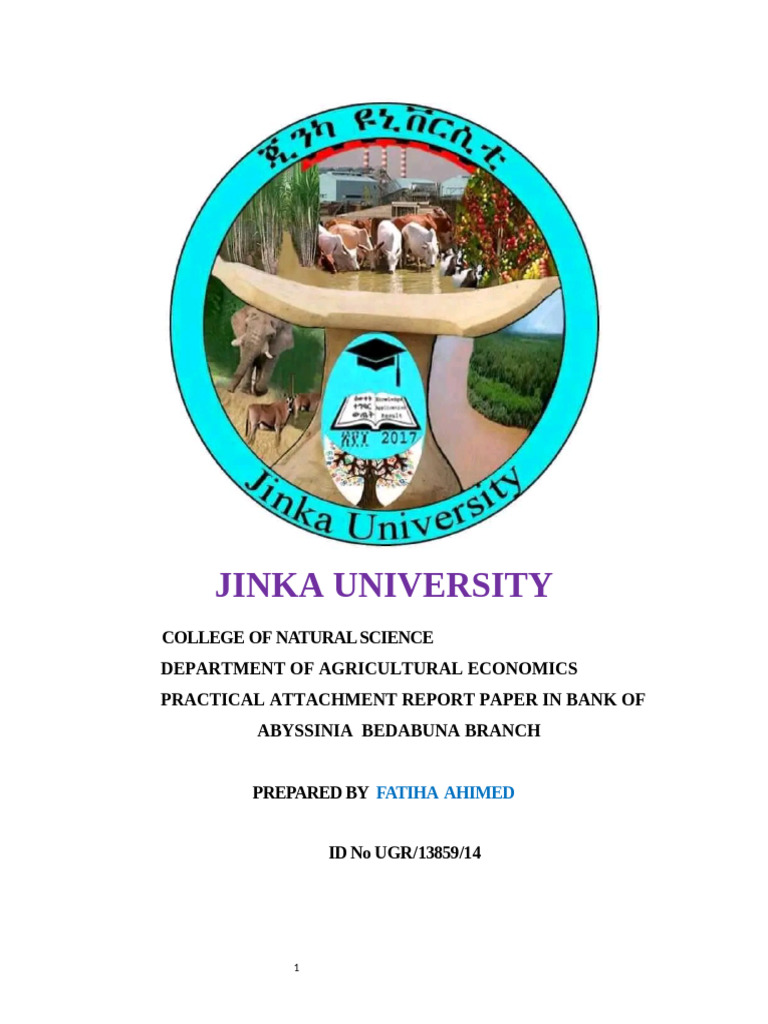 Feti Practical Attachment@Abyssinia Bank | PDF | Banks | Automated Teller Machine