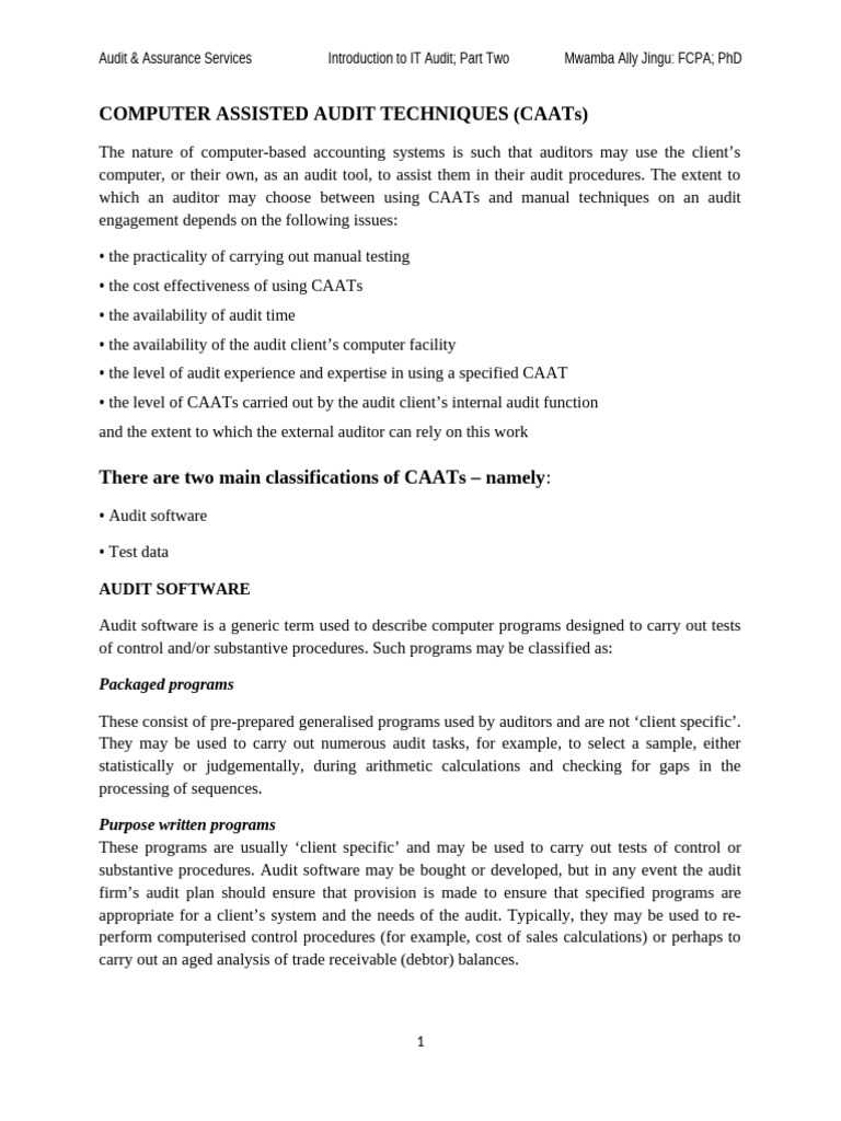 Computer Assisted Audit Techniques | PDF | Audit