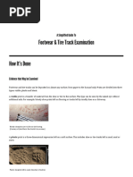 SICAR 6: Shoe and Tyre Evidence System | PDF | Tire | Databases