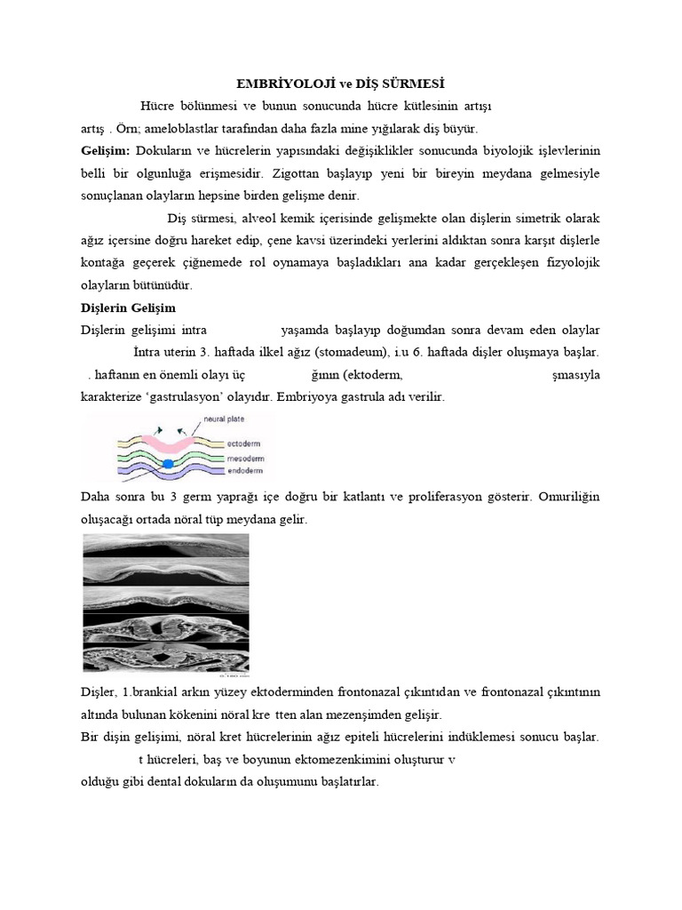 Sınıf Pedo Ders Notu (1-3 Hafta) | PDF