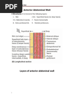 19 Mcgills Torso Muscular Endurance Test Battery Protocol | PDF ...