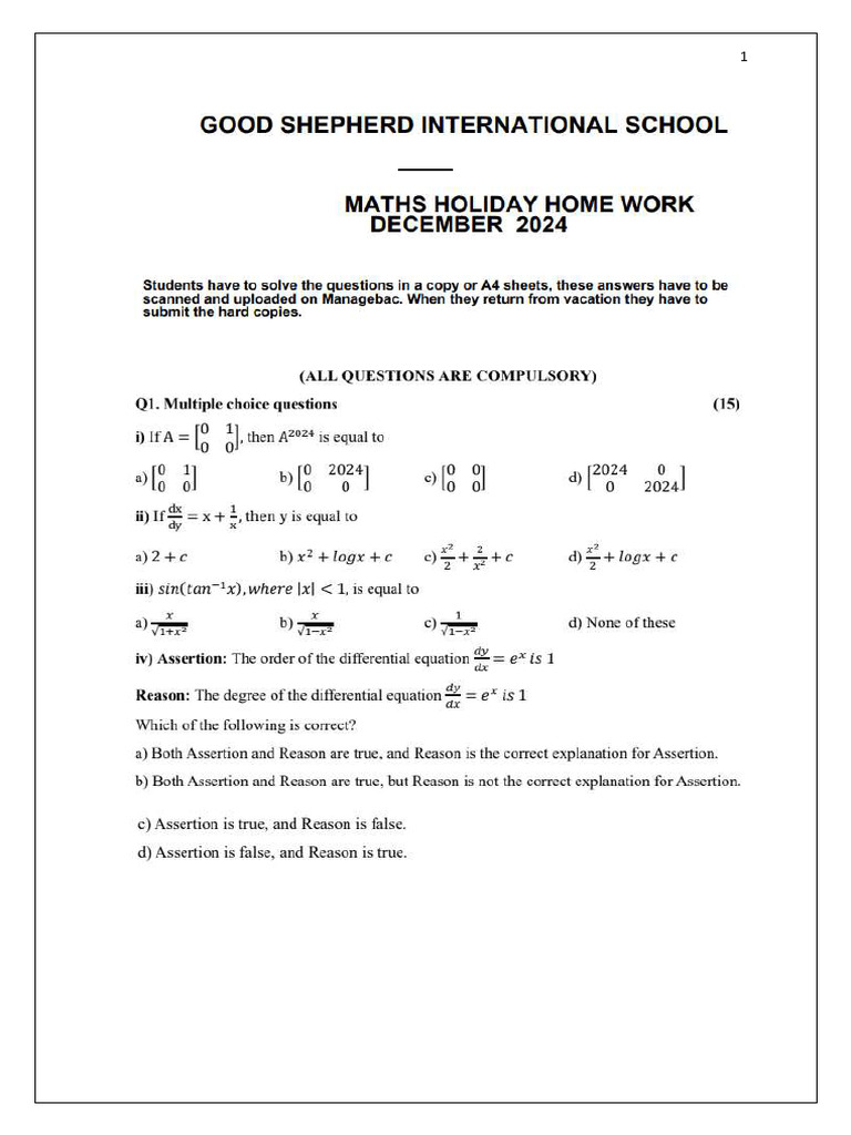 Math Holiday Homework | PDF
