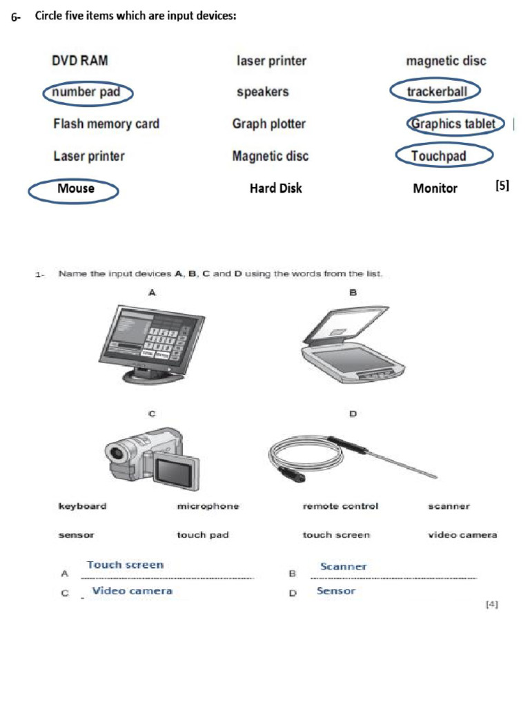 chapter 2 worksheet | PDF