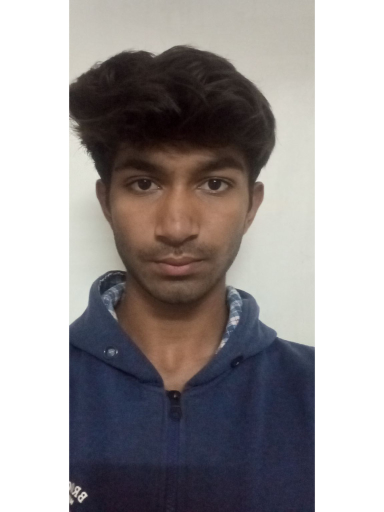 Chitranjan Singh Rathore CRS Form | PDF