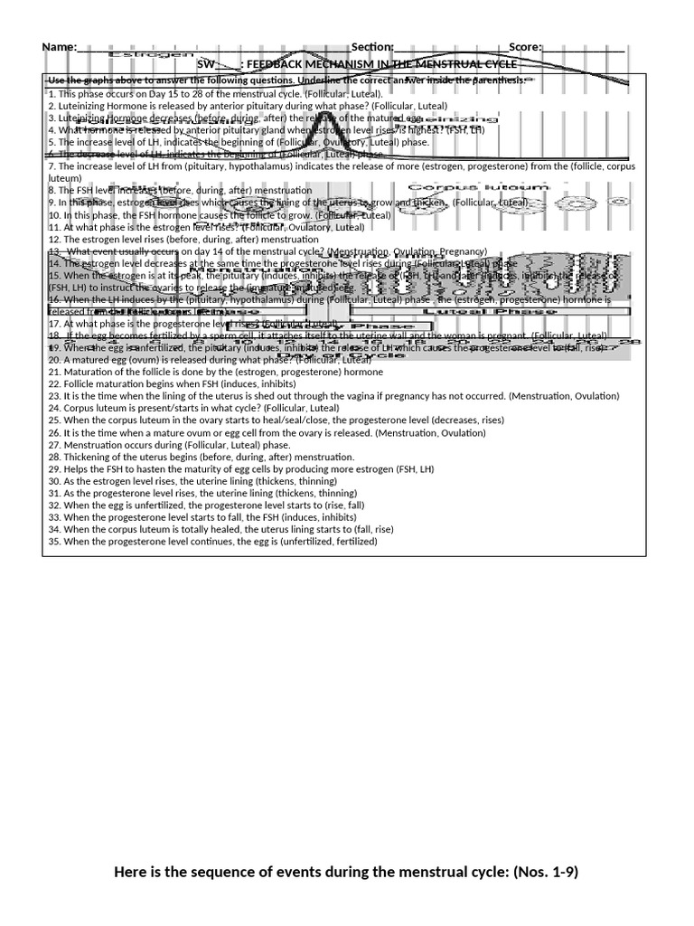 Menstruation Worksheet No. 3 | PDF | Menstrual Cycle | Luteinizing Hormone