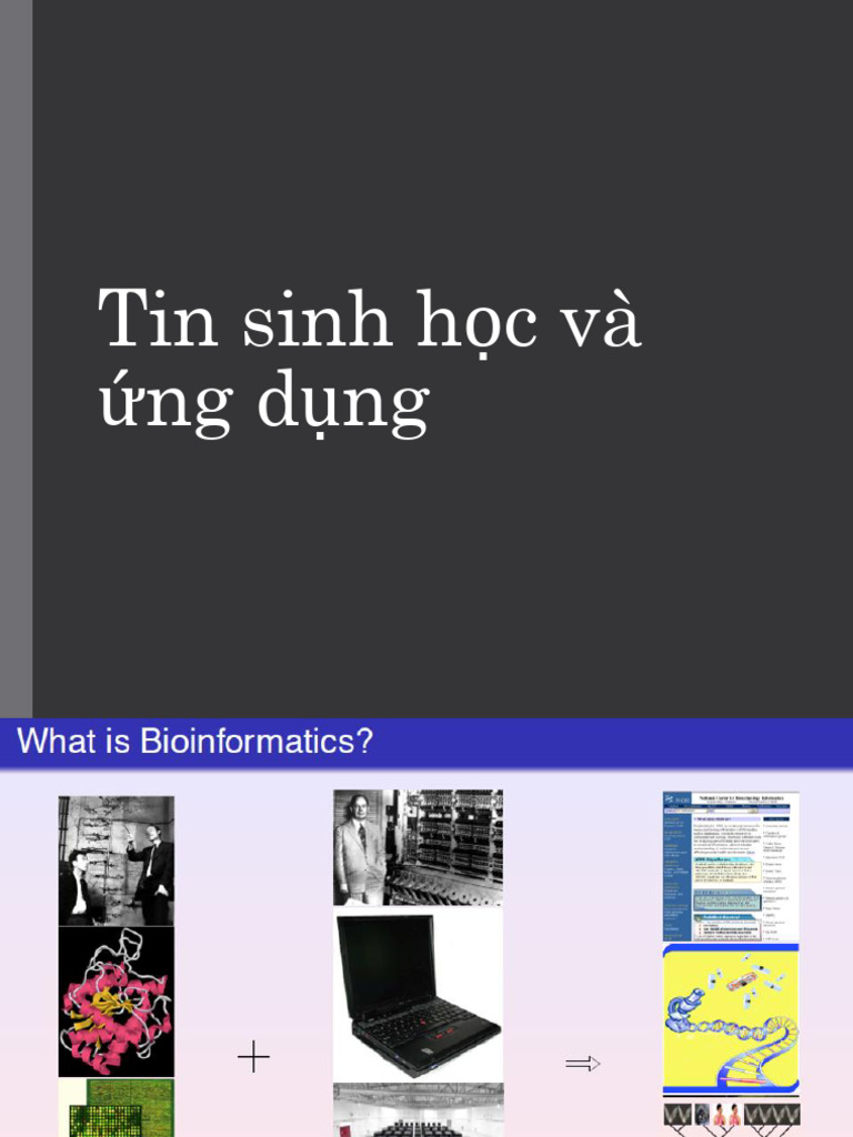 W02 - Applications in Bioinformatics | PDF